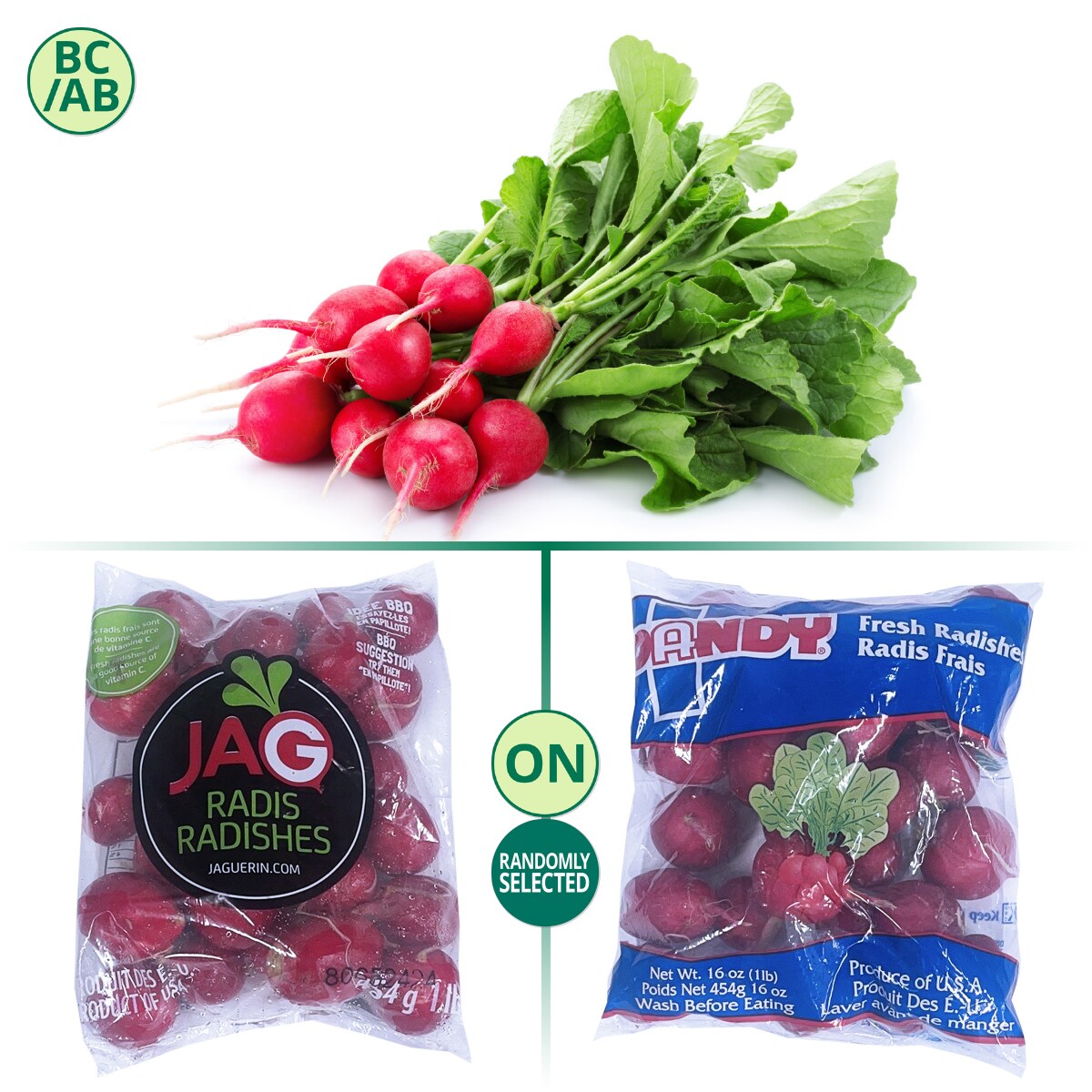 Oops! JavaScript is disabled