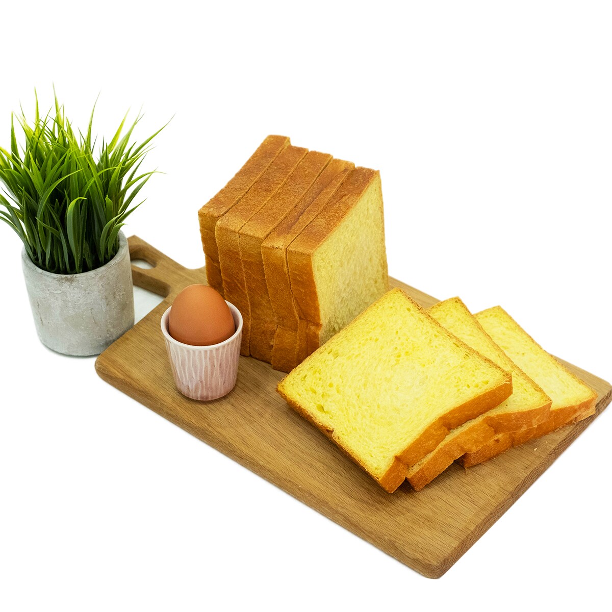 Oops! JavaScript is disabled