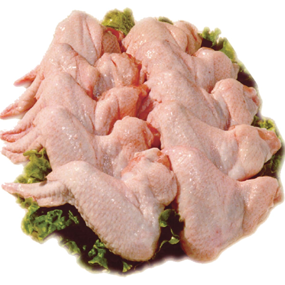 Oops! JavaScript is disabled