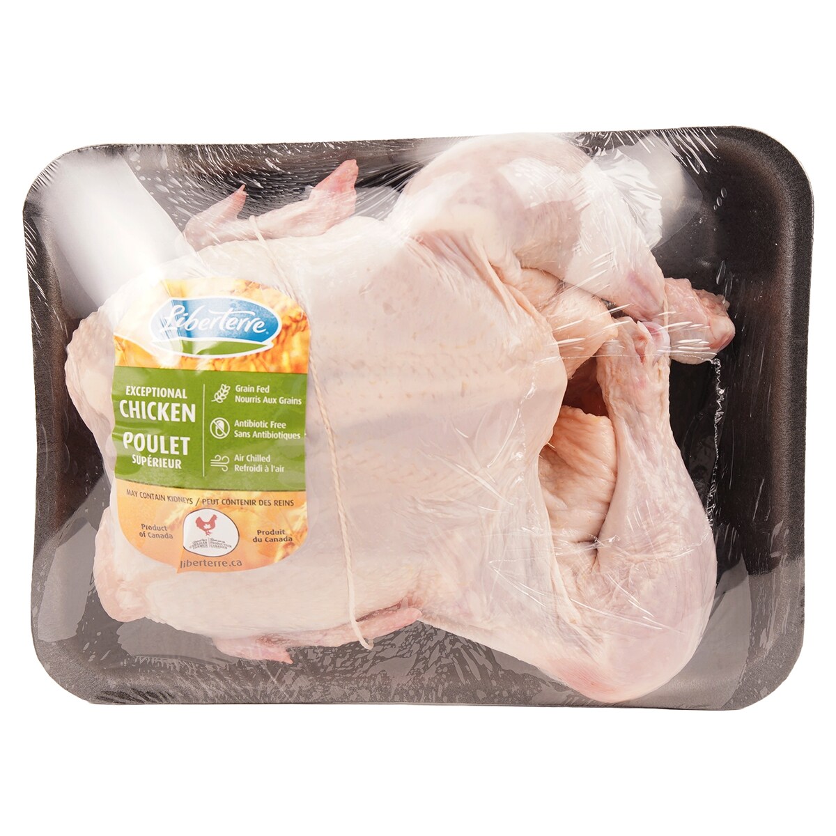 Oops! JavaScript is disabled