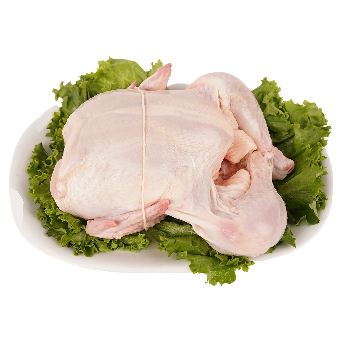 Oops! JavaScript is disabled