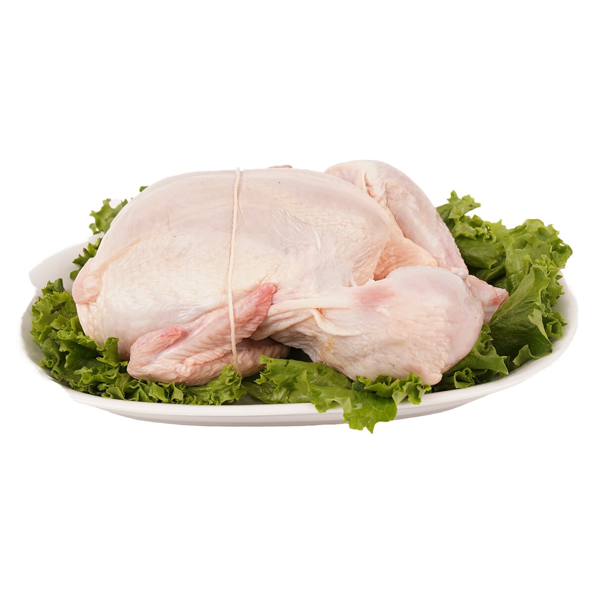 Oops! JavaScript is disabled