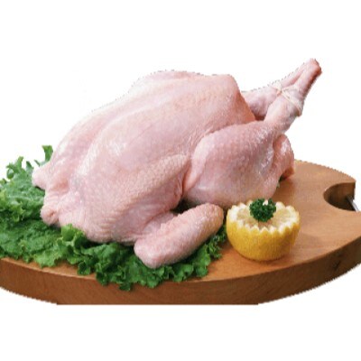 Oops! JavaScript is disabled