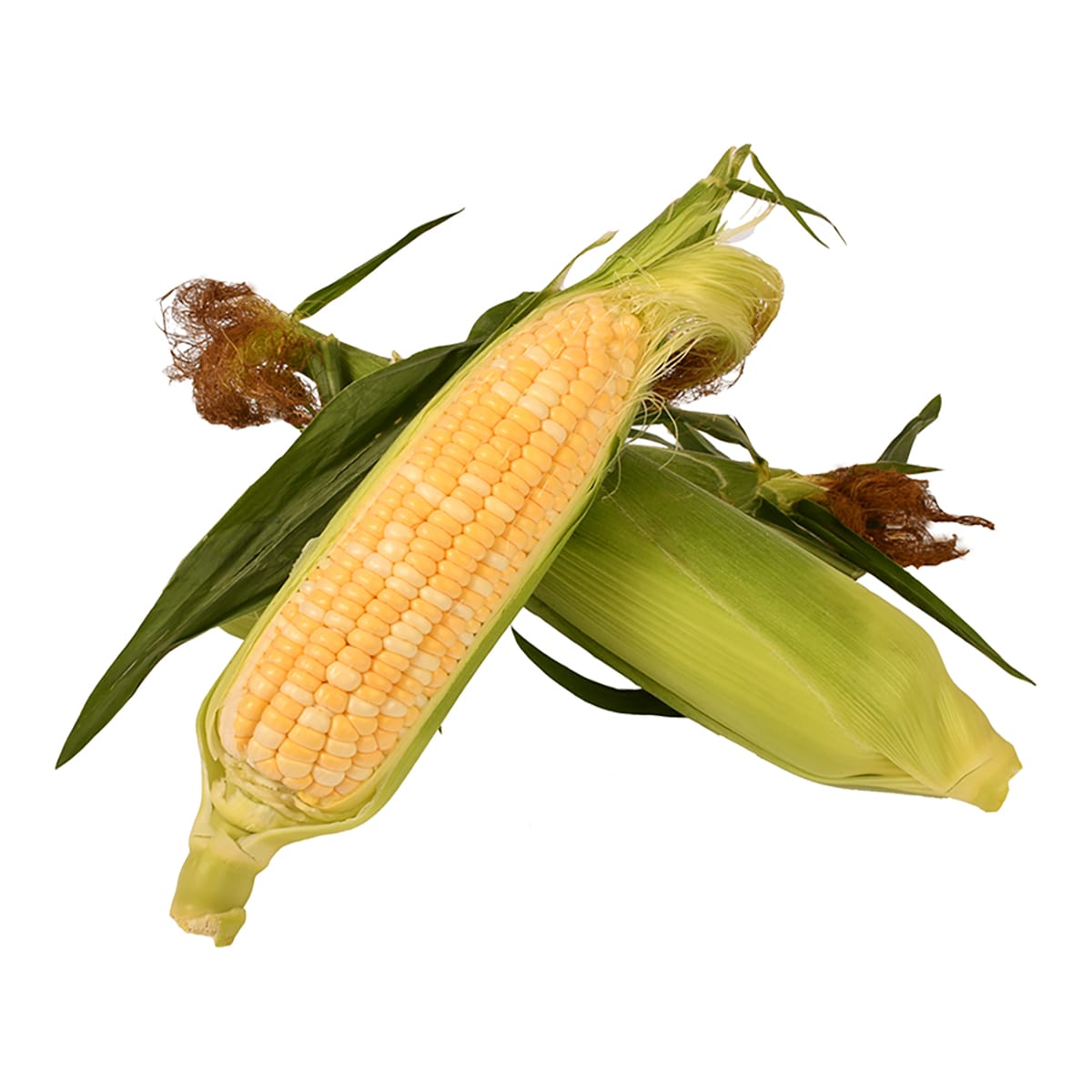 Oops! JavaScript is disabled