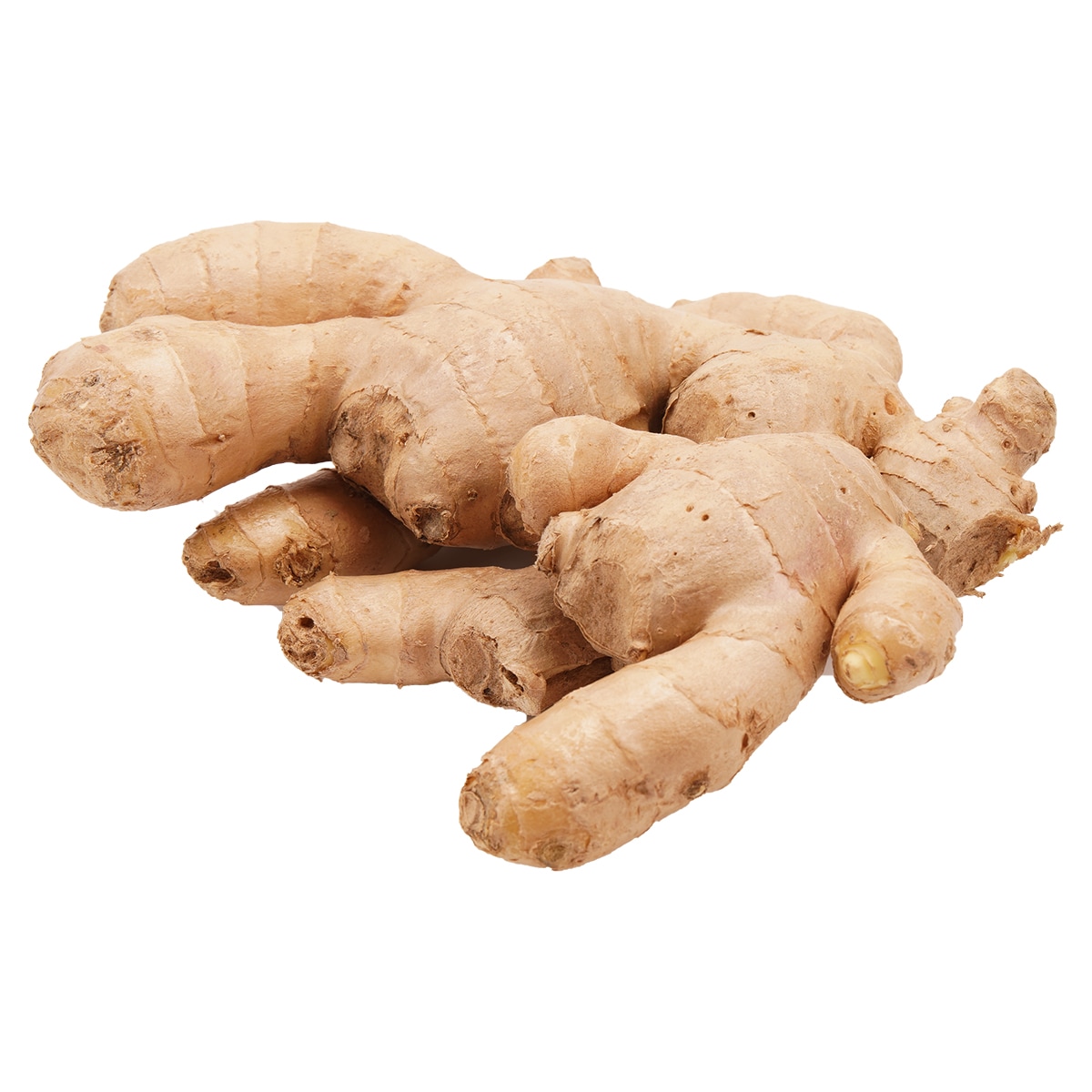 Oops! JavaScript is disabled