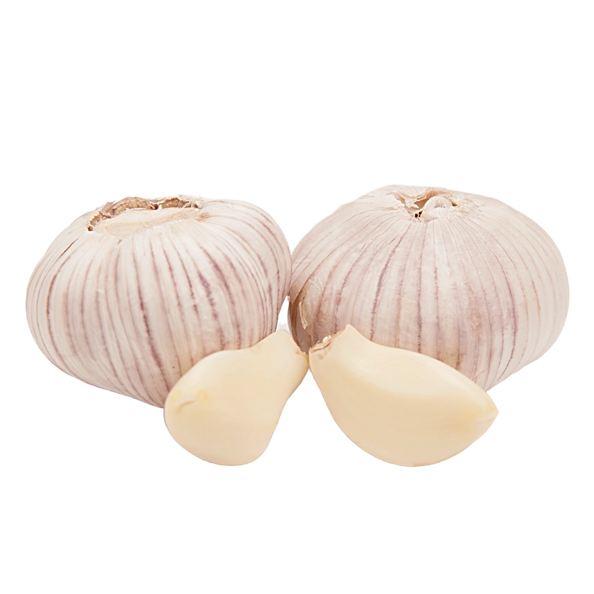 Oops! JavaScript is disabled