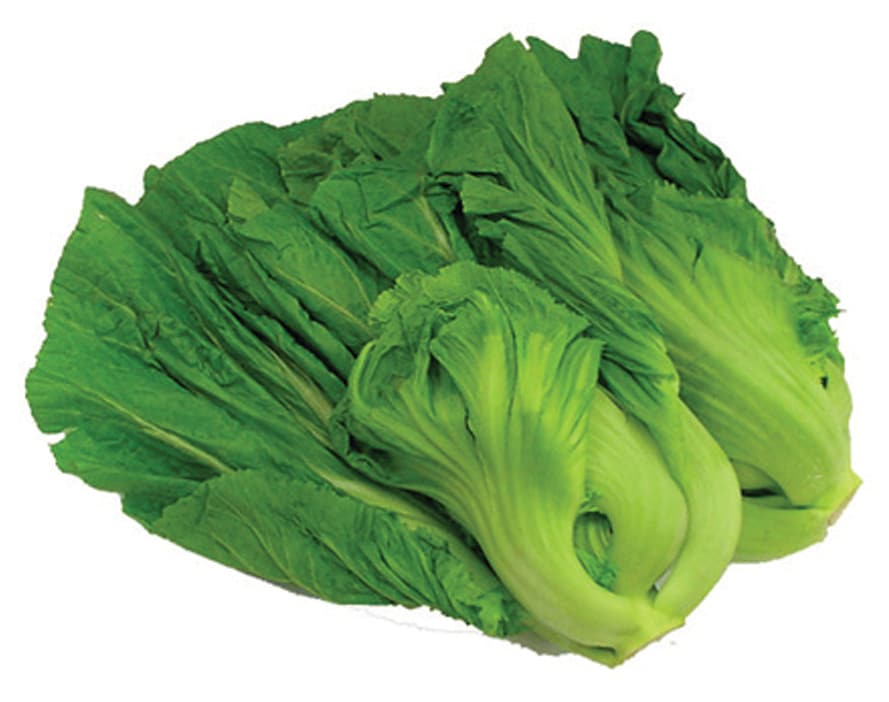 Oops! JavaScript is disabled