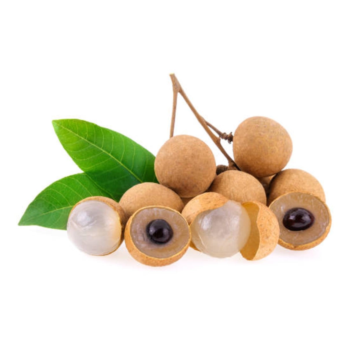 Oops! JavaScript is disabled