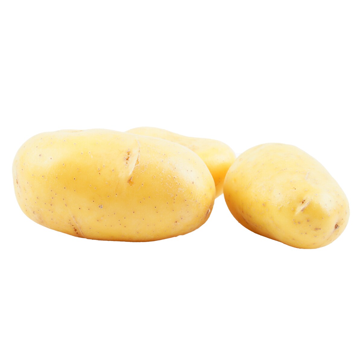 Oops! JavaScript is disabled