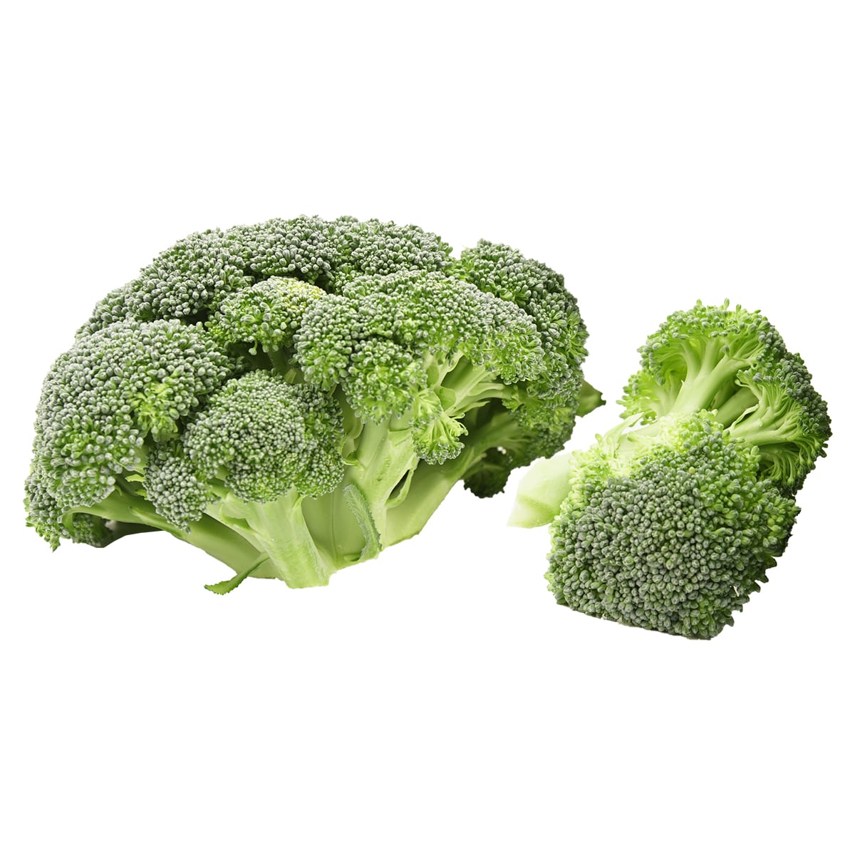 Oops! JavaScript is disabled