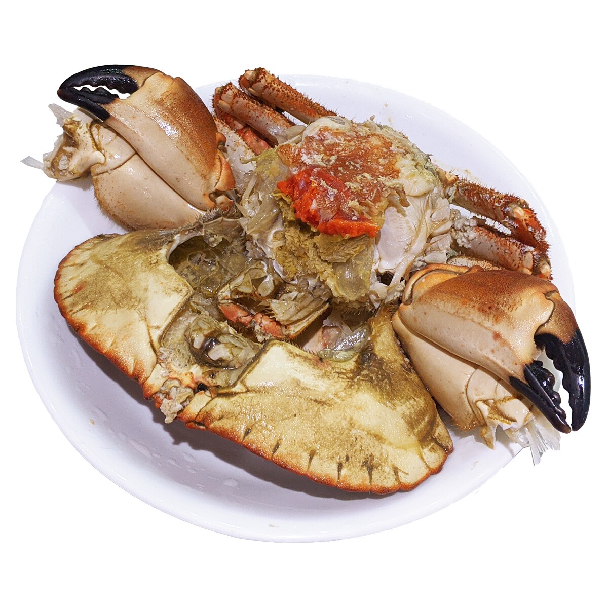 Oops! JavaScript is disabled