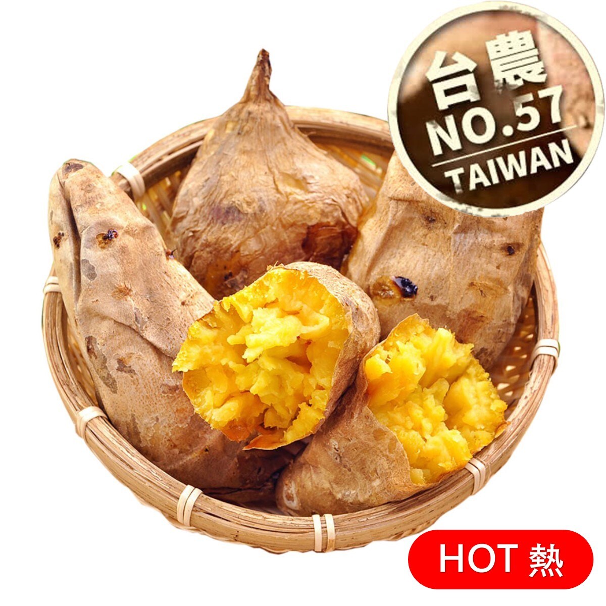 Oops! JavaScript is disabled