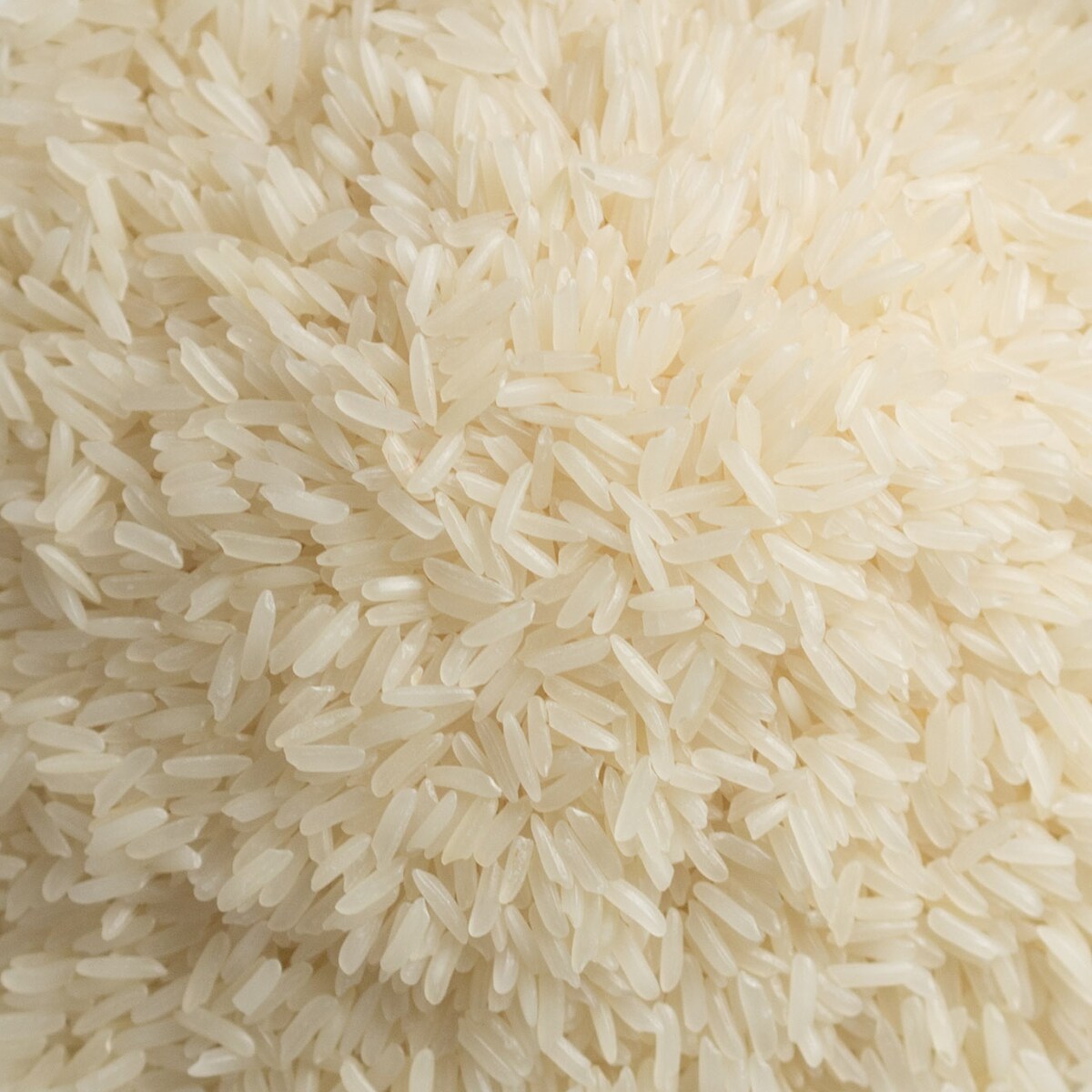 Oops! JavaScript is disabled