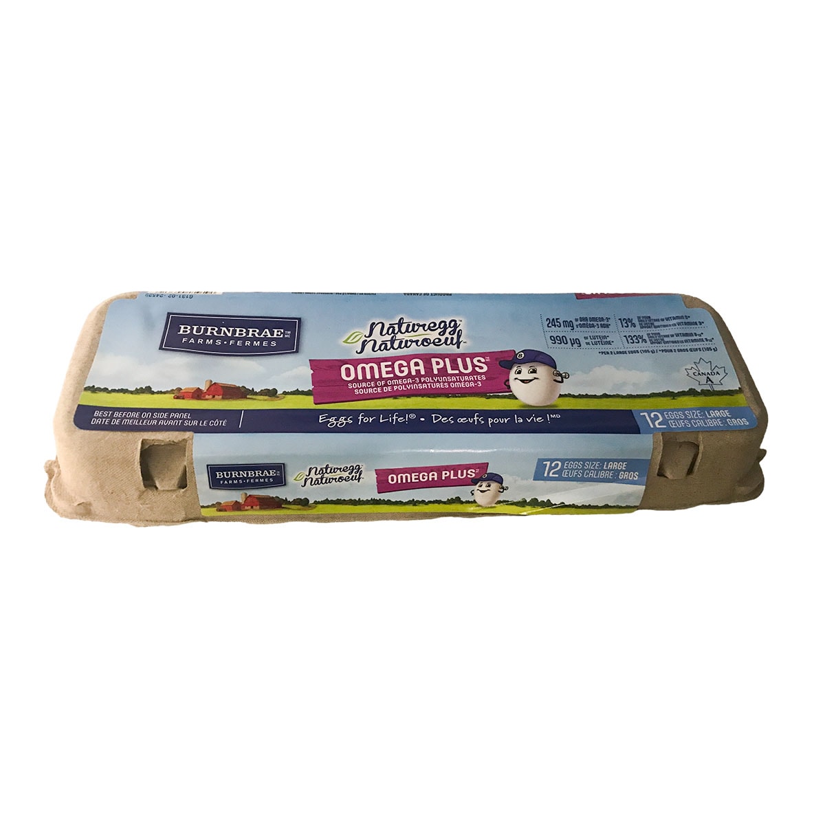 Oops! JavaScript is disabled