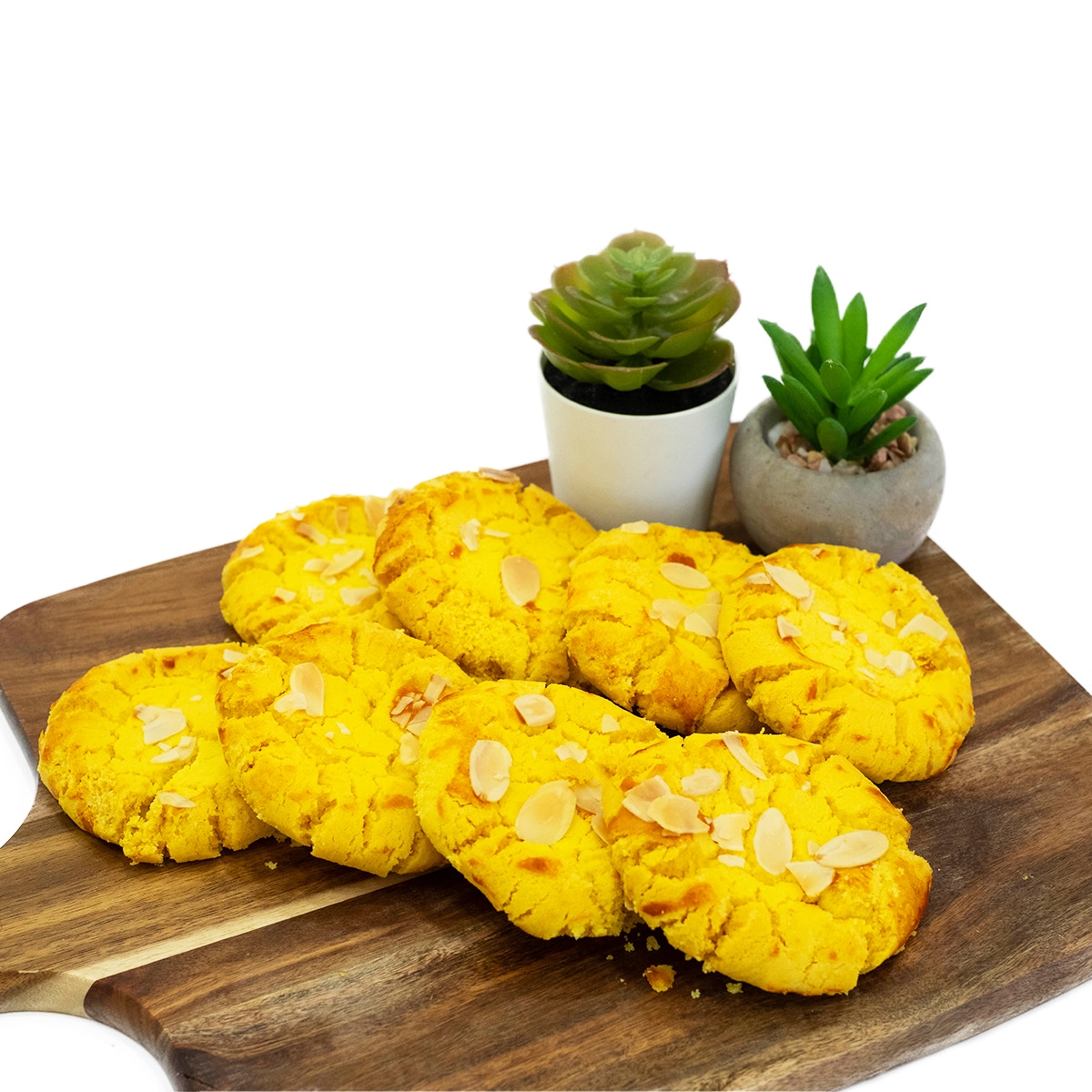 Oops! JavaScript is disabled