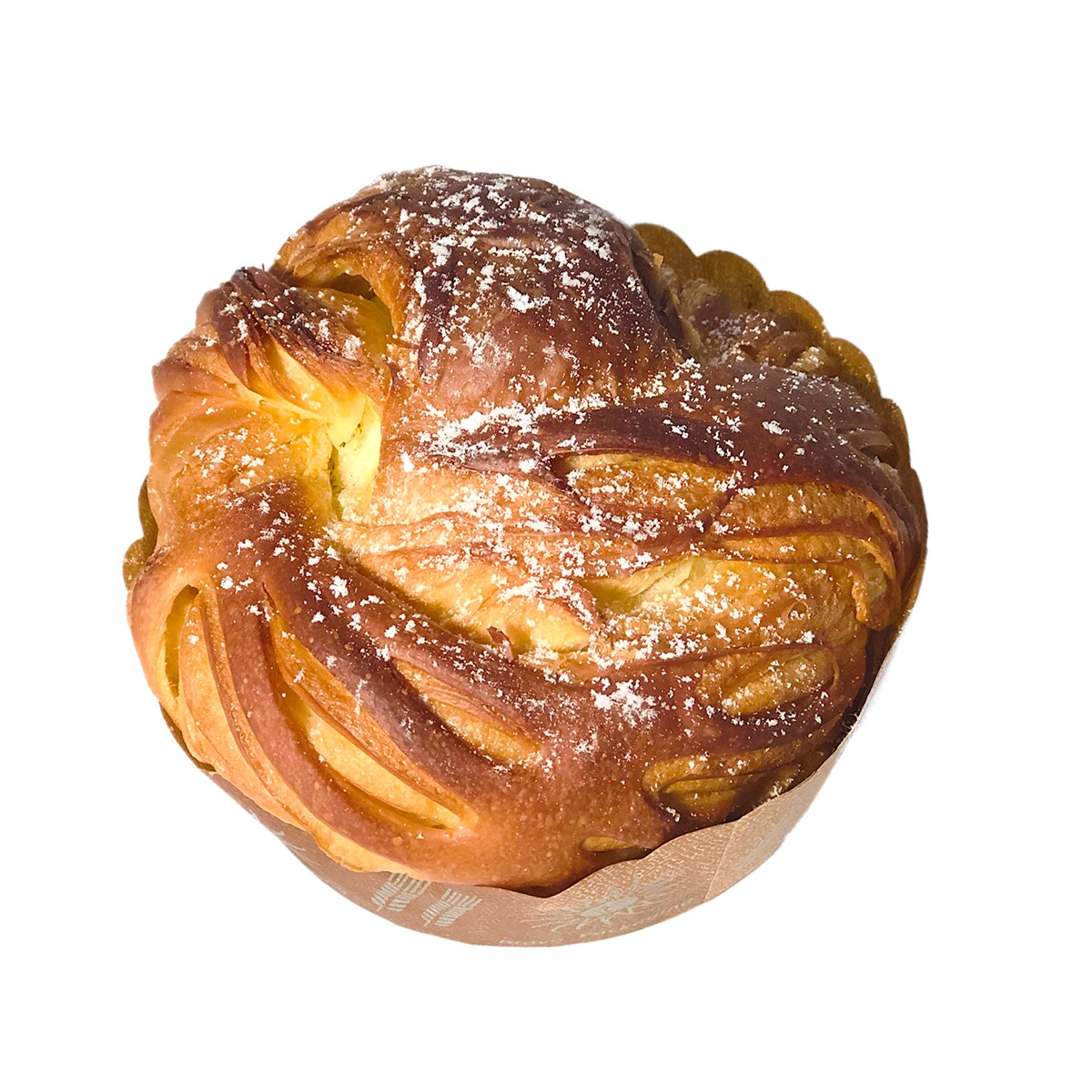 Oops! JavaScript is disabled