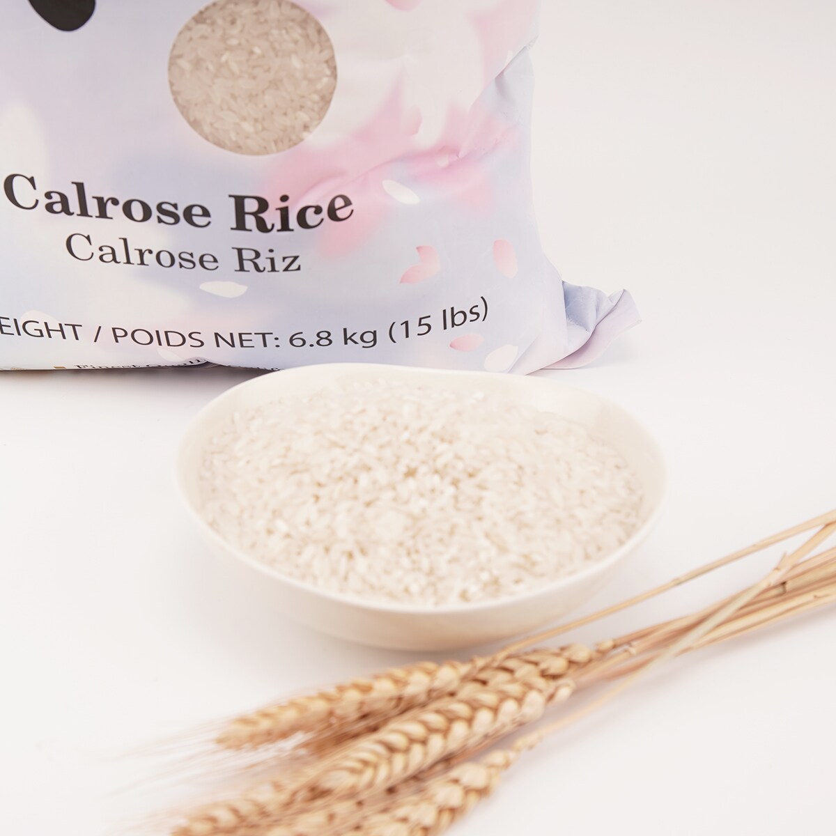 Oops! JavaScript is disabled