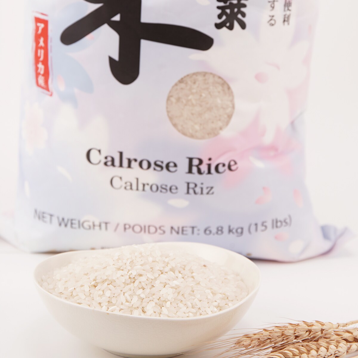 Oops! JavaScript is disabled