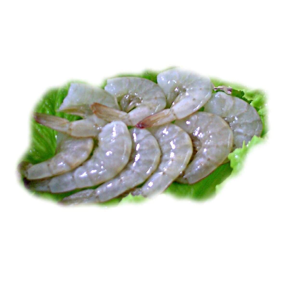 Oops! JavaScript is disabled