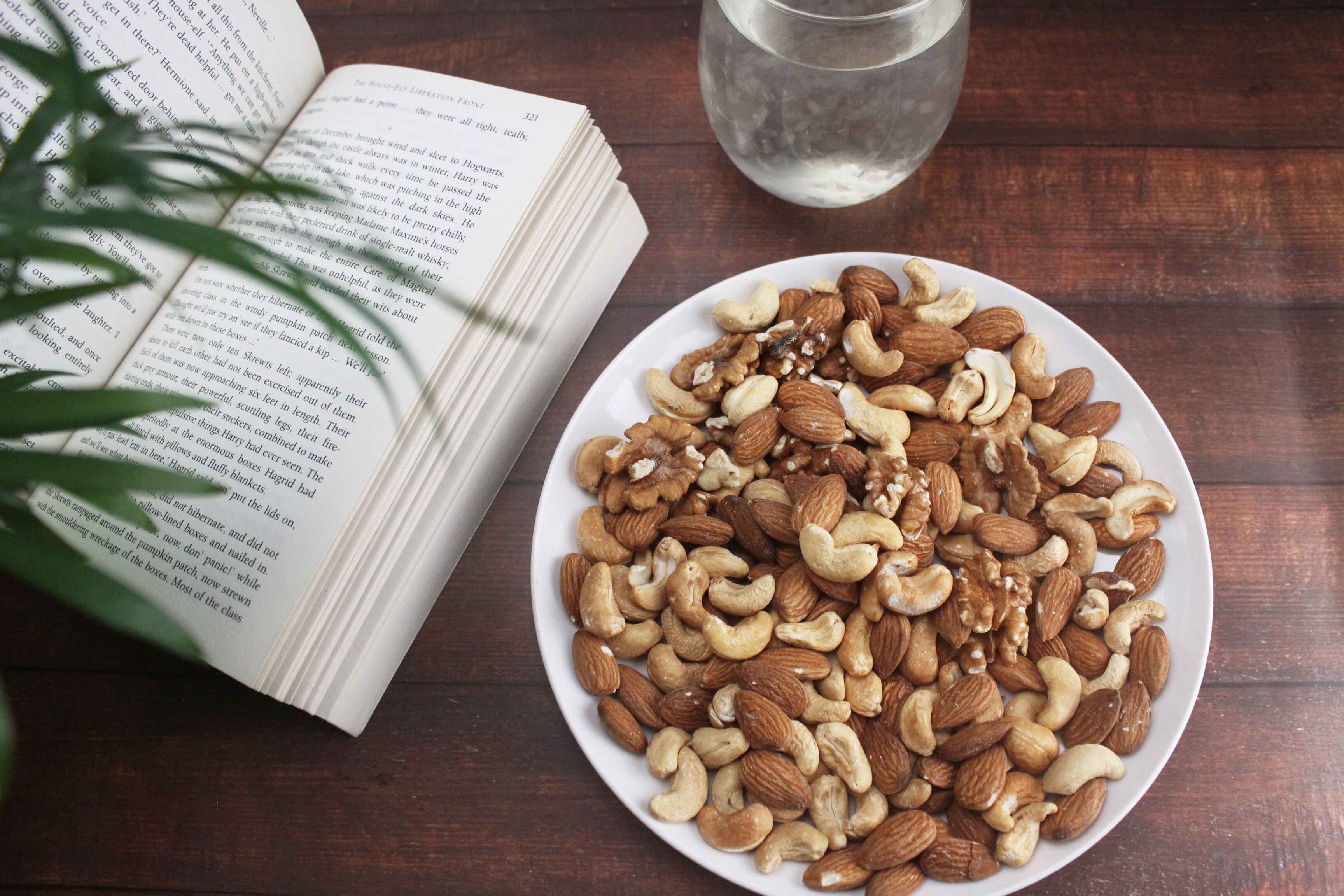 Oops! JavaScript is disabled