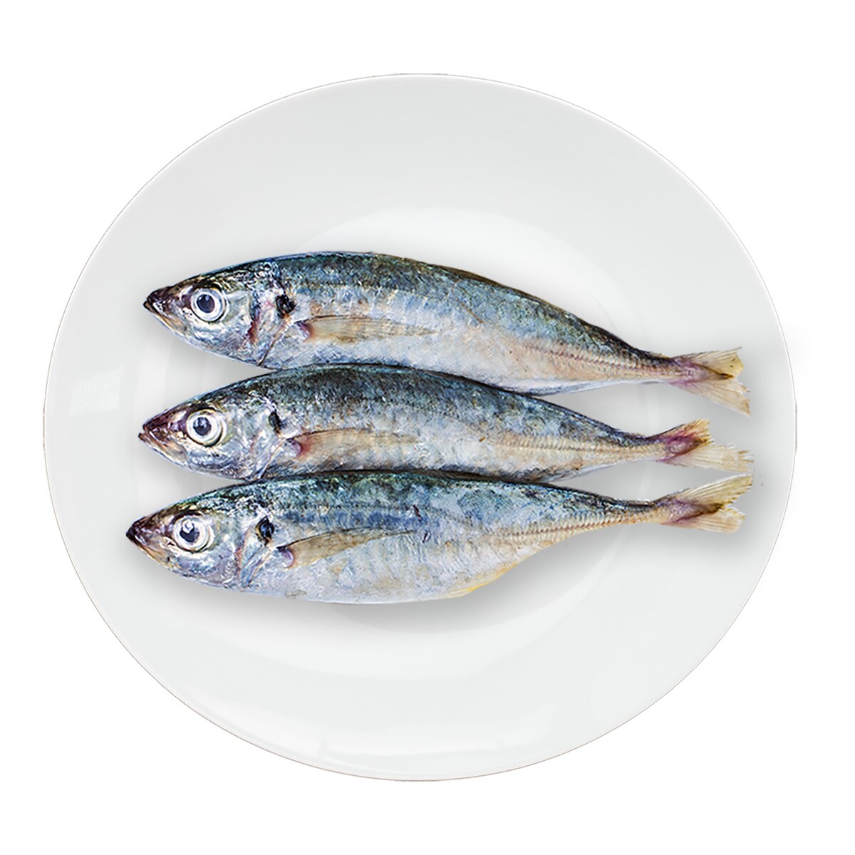 Oops! JavaScript is disabled