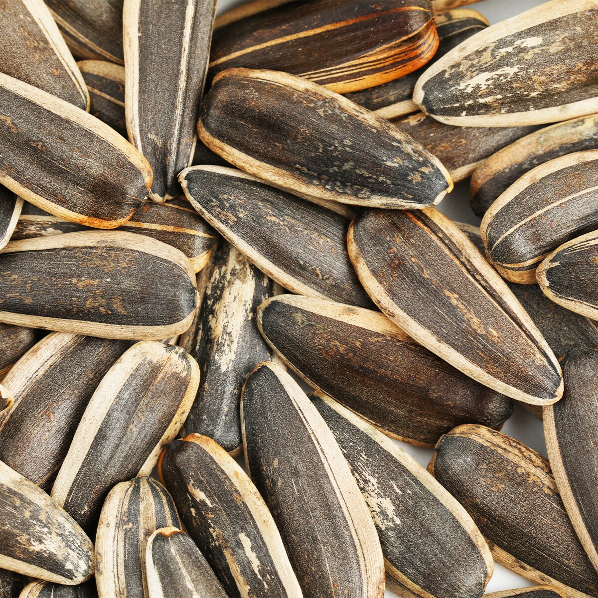 Oops! JavaScript is disabled