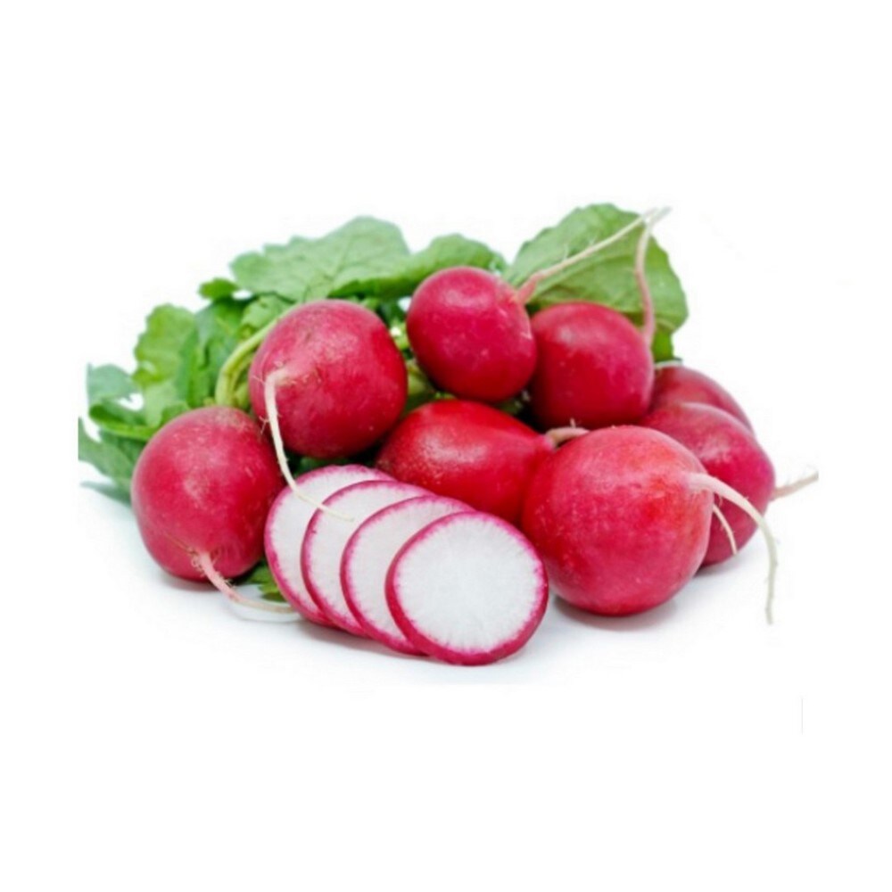 Oops! JavaScript is disabled