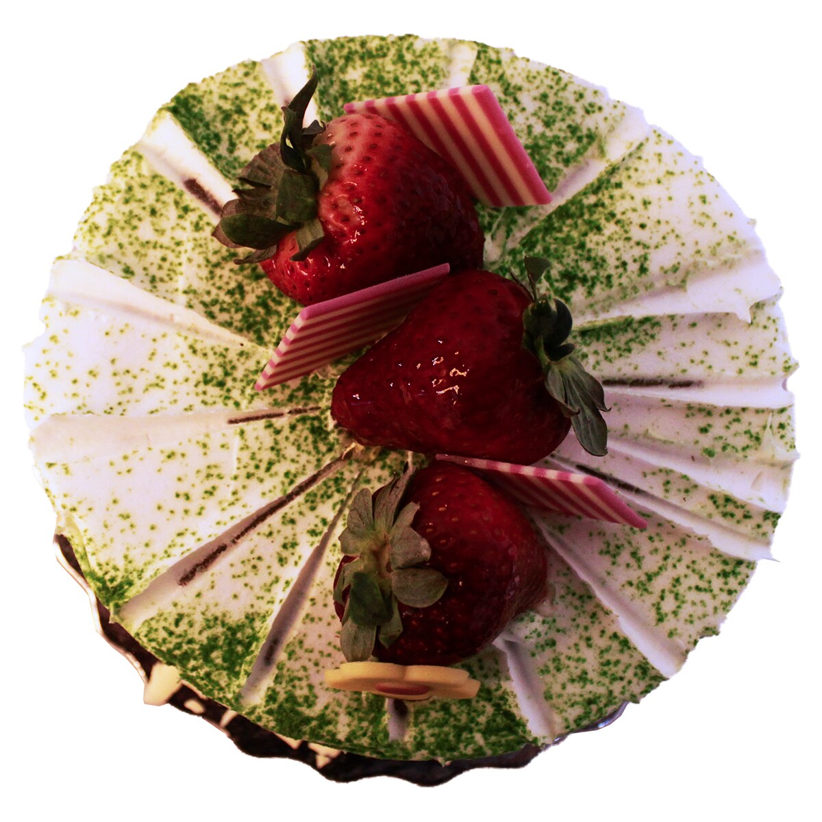 Oops! JavaScript is disabled