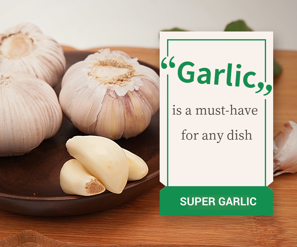 Garlic 1 Pack | T&T Supermarket