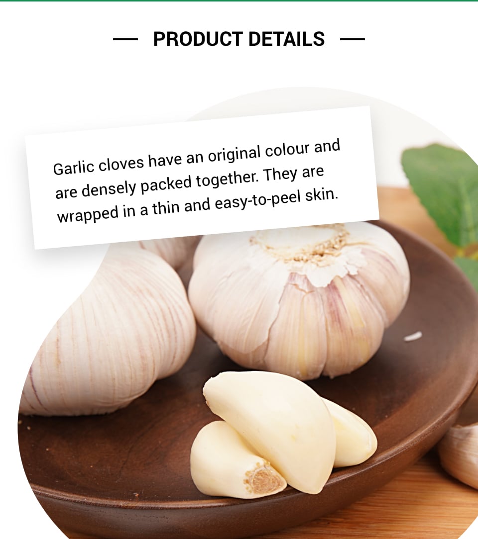 Garlic 1 Pack | T&T Supermarket