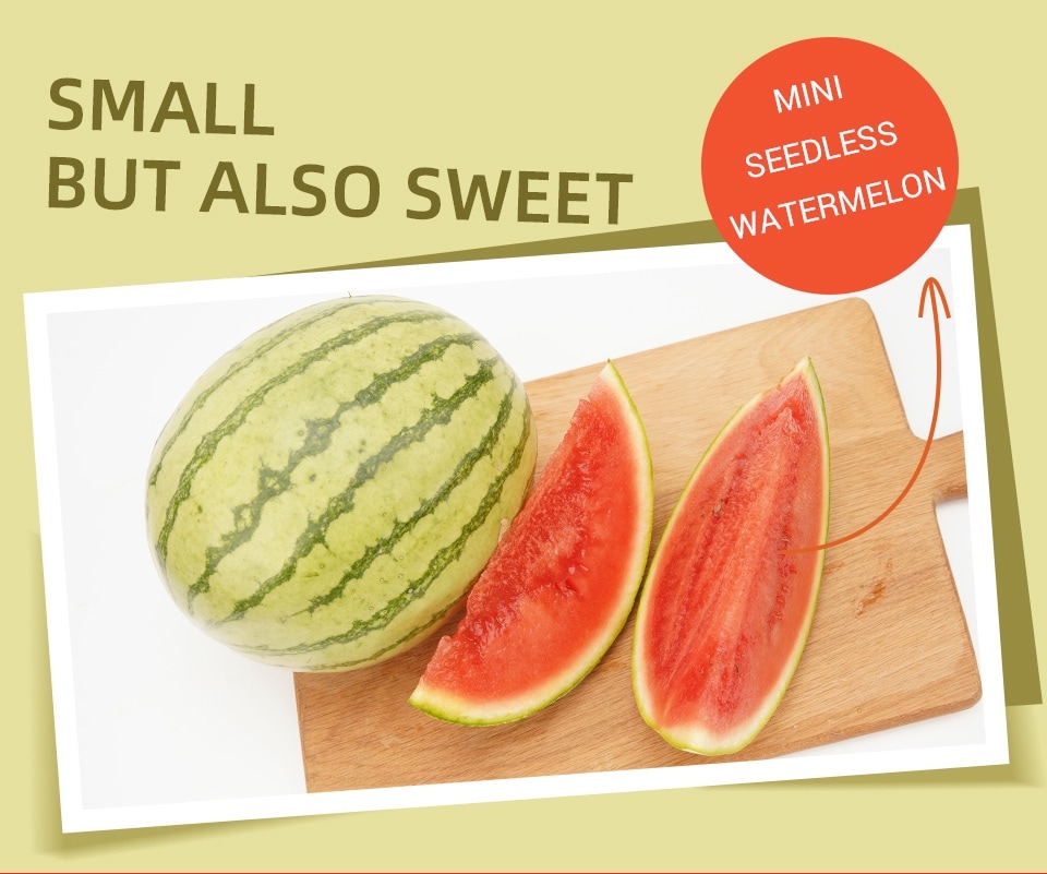 Mini Seedless Watermelon 1 Each | T&T Supermarket