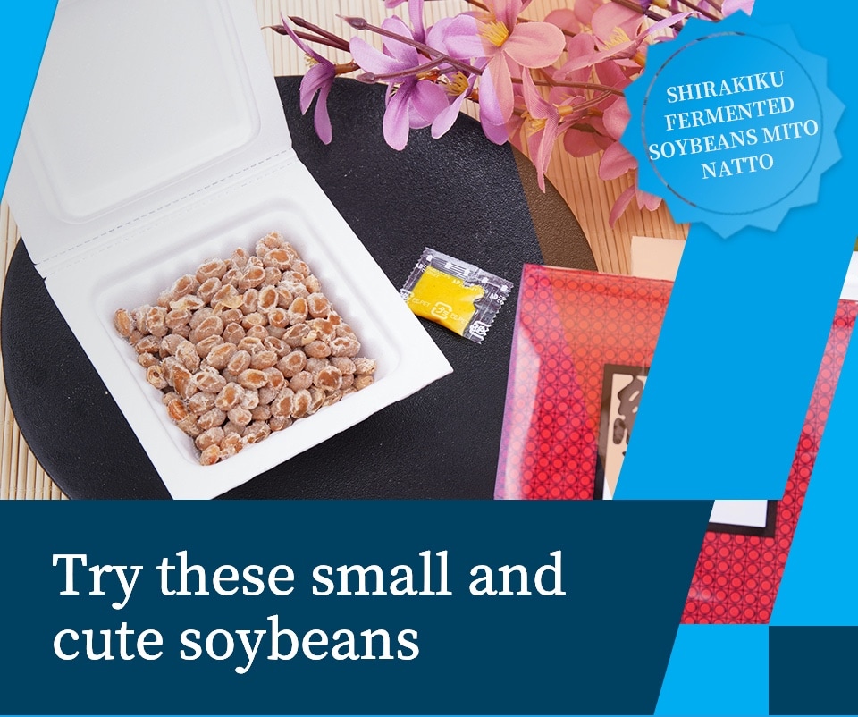 SK MITO NATTO MINI 4 | T&T Supermarket