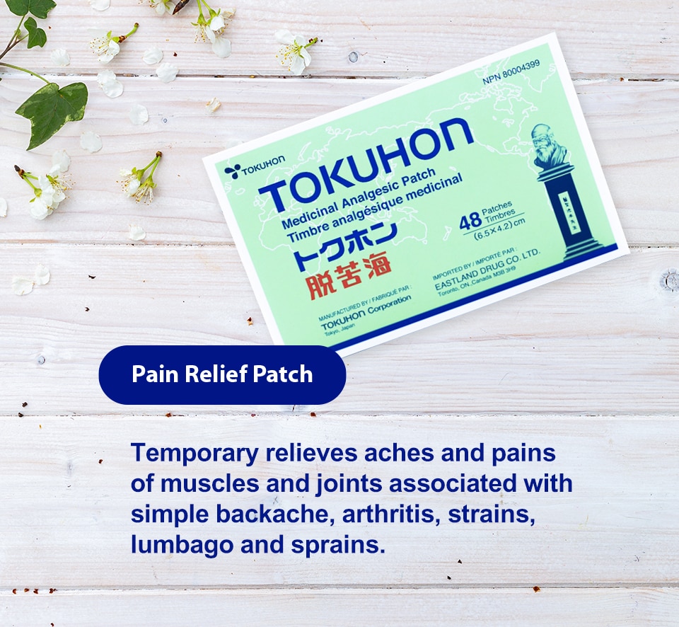 Medicinal Analgesic Patch(Din0 | T&T Supermarket