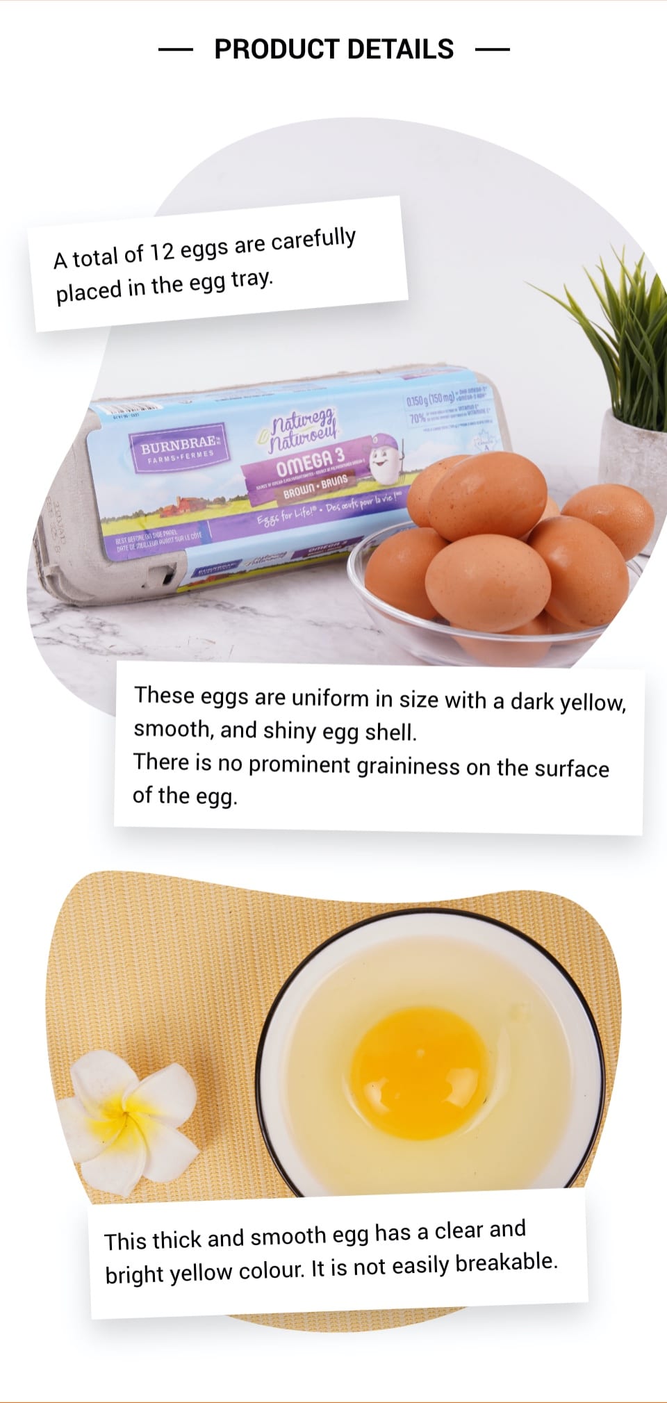 Oops! JavaScript is disabled