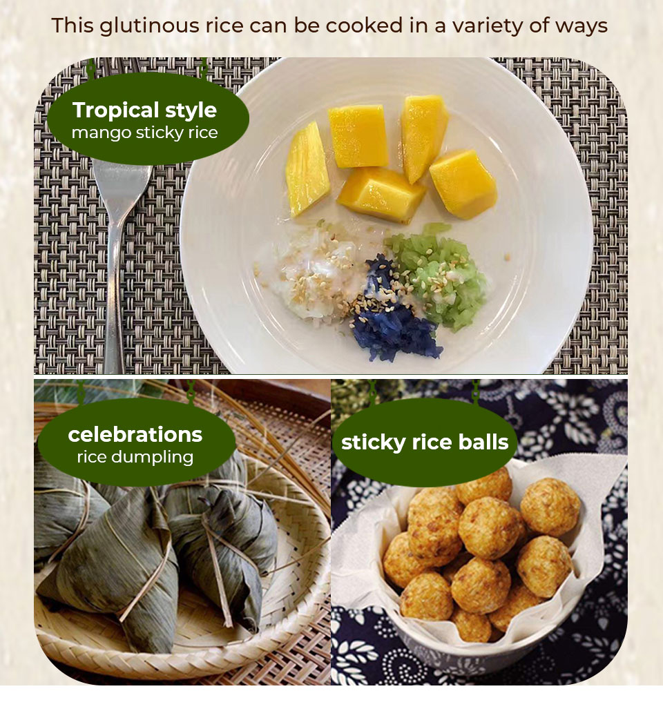 T&T Glutinous Rice 11LB | T&T Supermarket